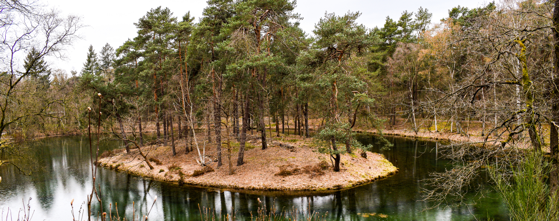 Wandelen op de Utrechtse Heuvelrug: ontdek de mooiste routes | Bever